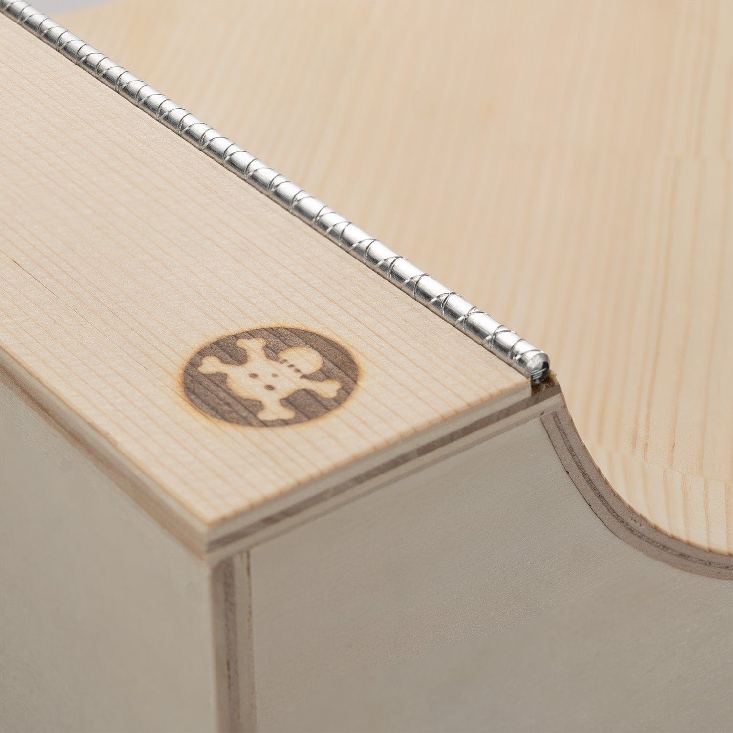 Blackriver Ramps Schneider Pro 5 | Skull Fingerboards